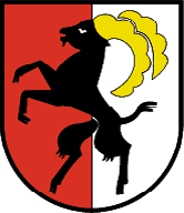 Bücherei Mayrhofen - Zillertaler Heimatstimme