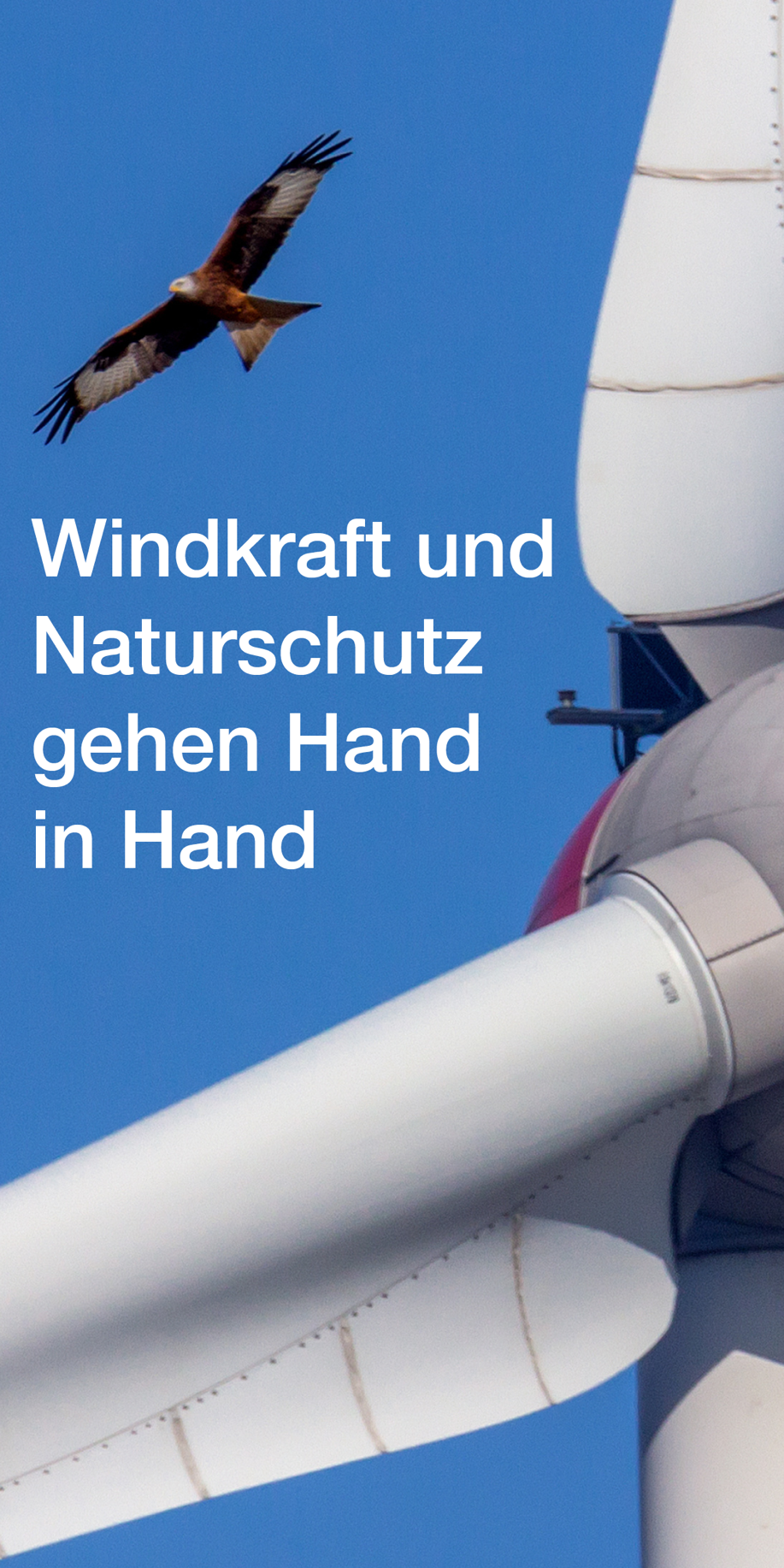 Mayrhofen holt Red Bull X-Alps Challenger ins Zillertal - Zillertaler ...